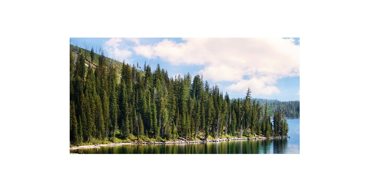 How and Why to Create Evergreen Content